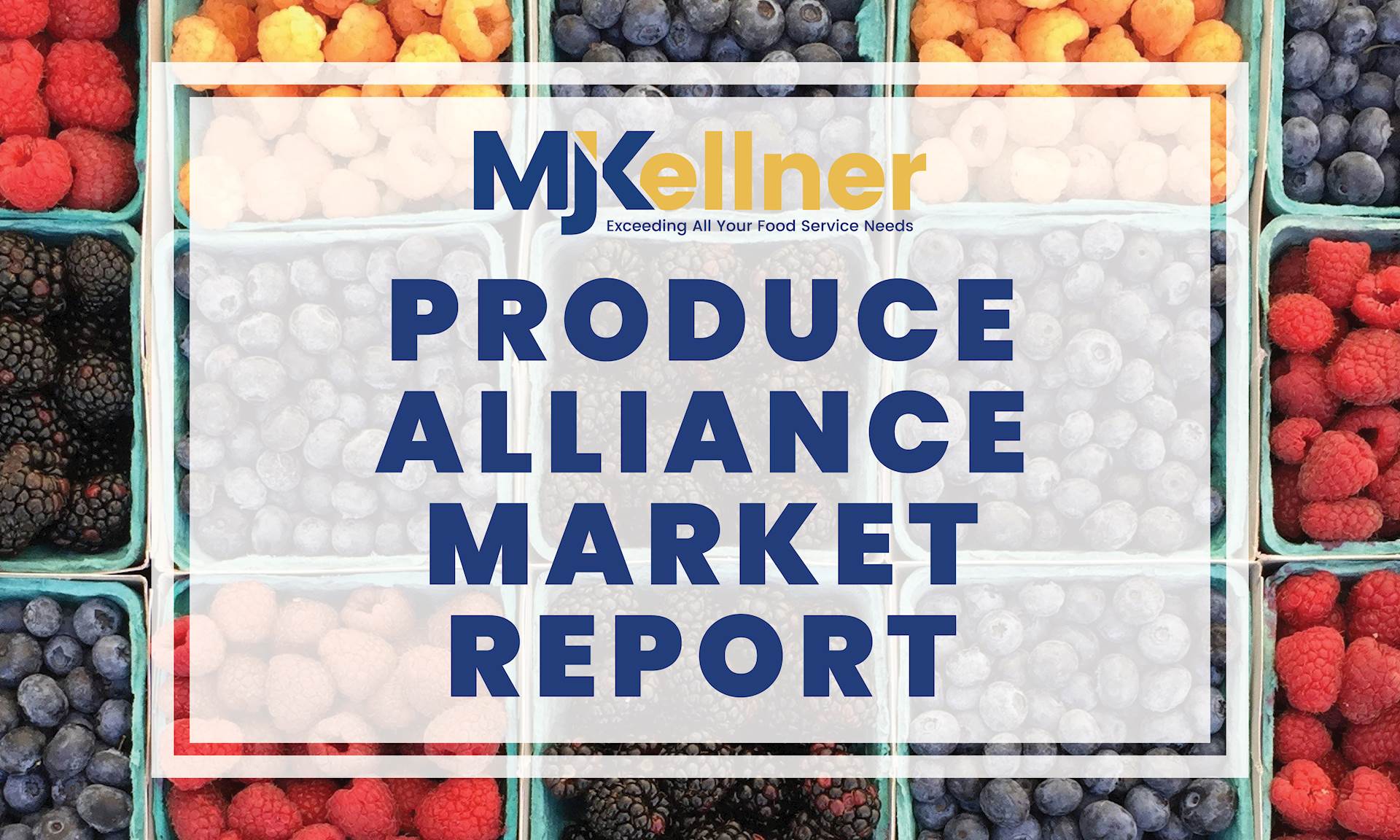 9.19.2024 Weekly Produce Report | MJ Kellner